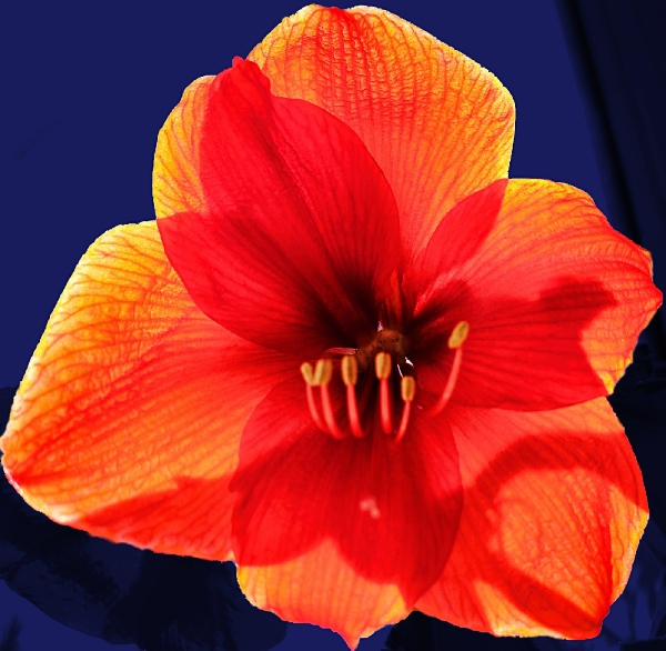 Pastiche Photography